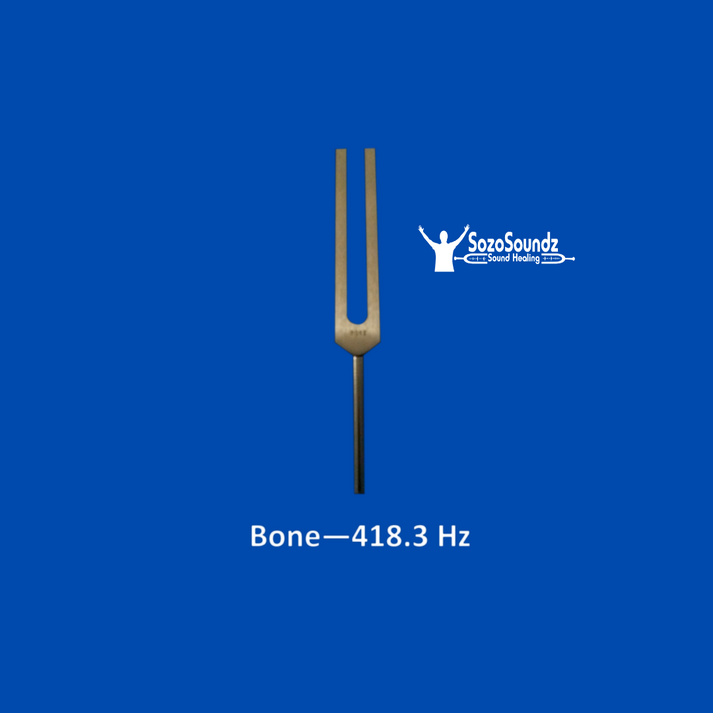 Bone Tuning Fork - Shop Bone Tuning Fork!