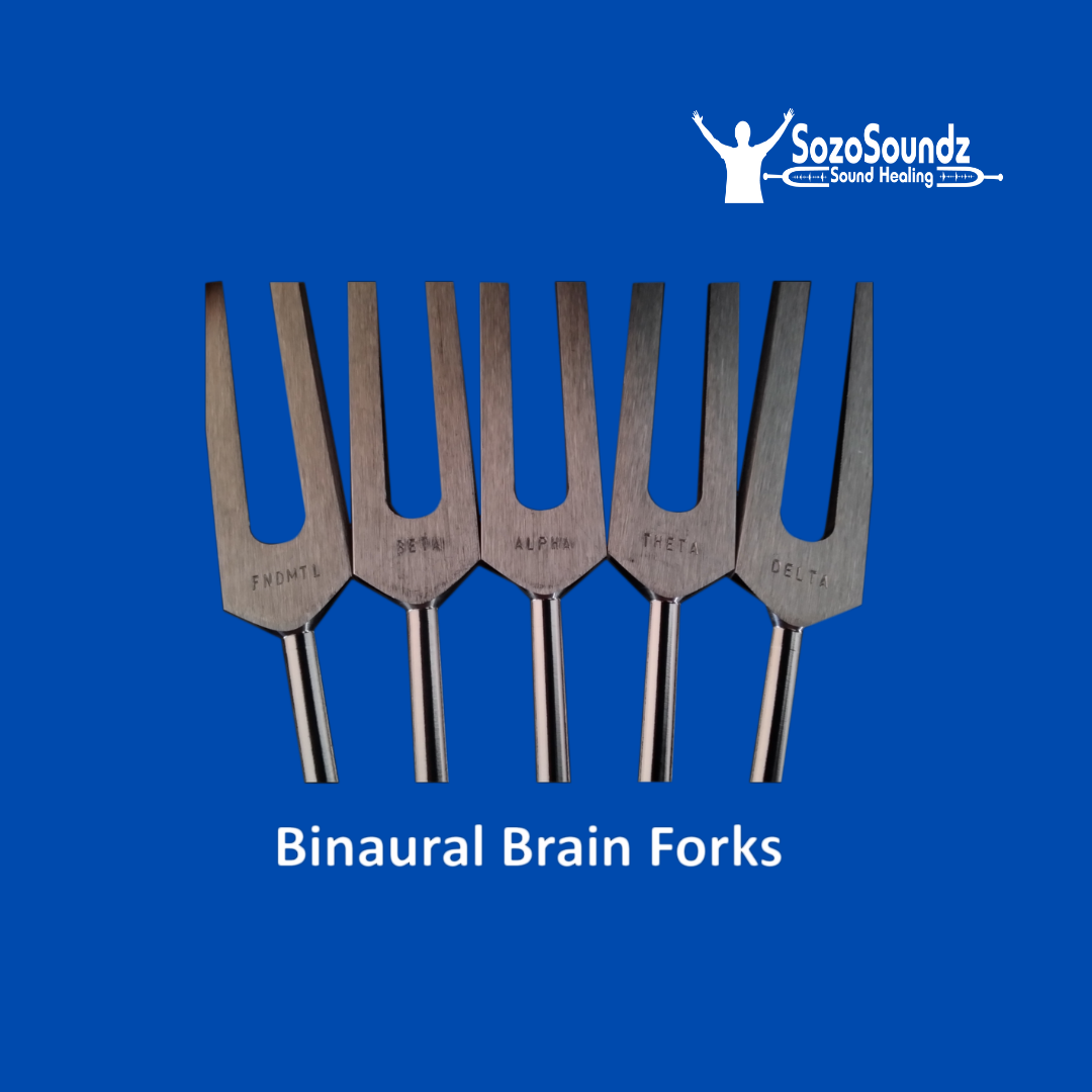 Binaural Brain Tuning Forks - Shop Binaural Brain Tuning Forks!