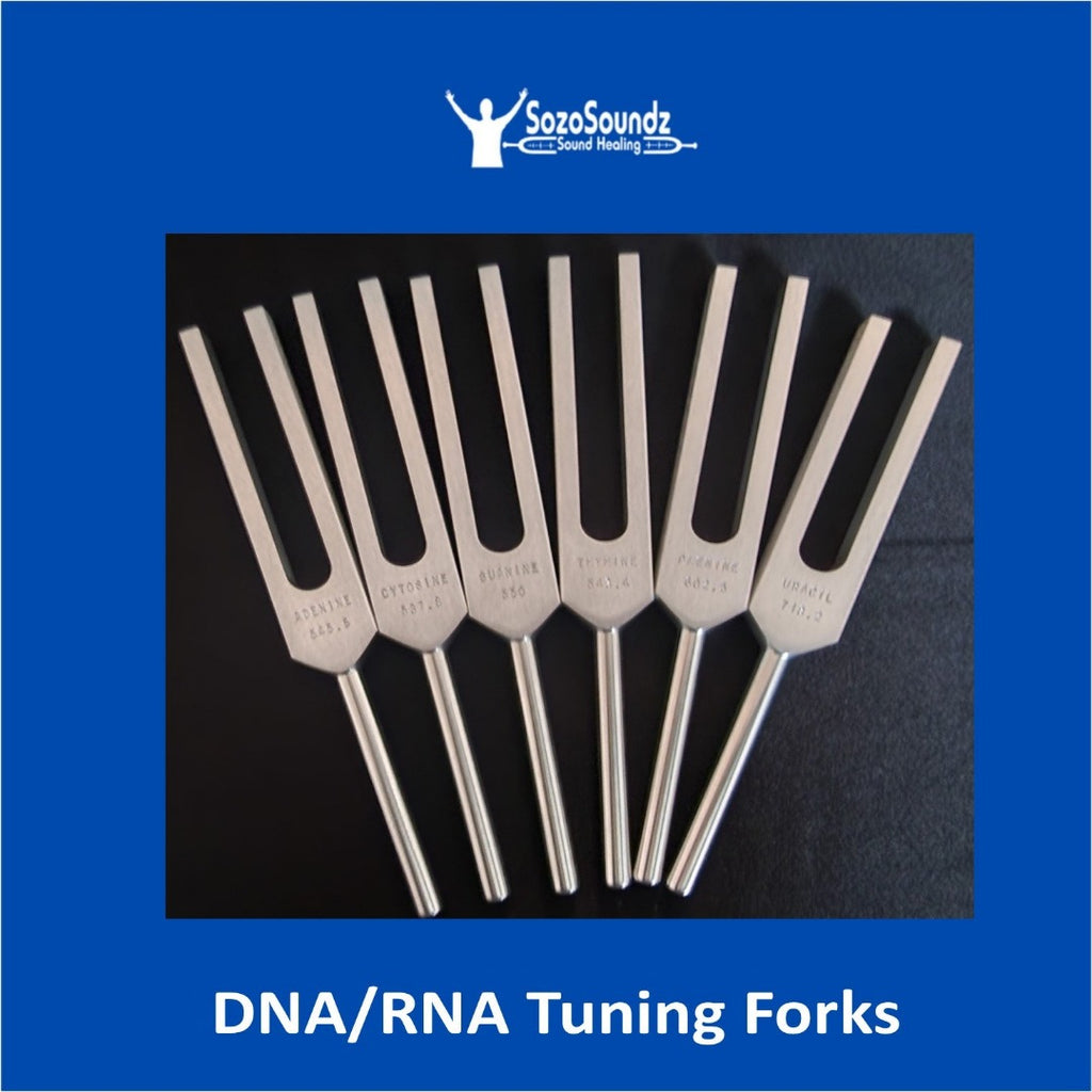 DNA/RNA Sets include 4 of the DNA &2 RNA tuning forks - Buy SozoSoundz