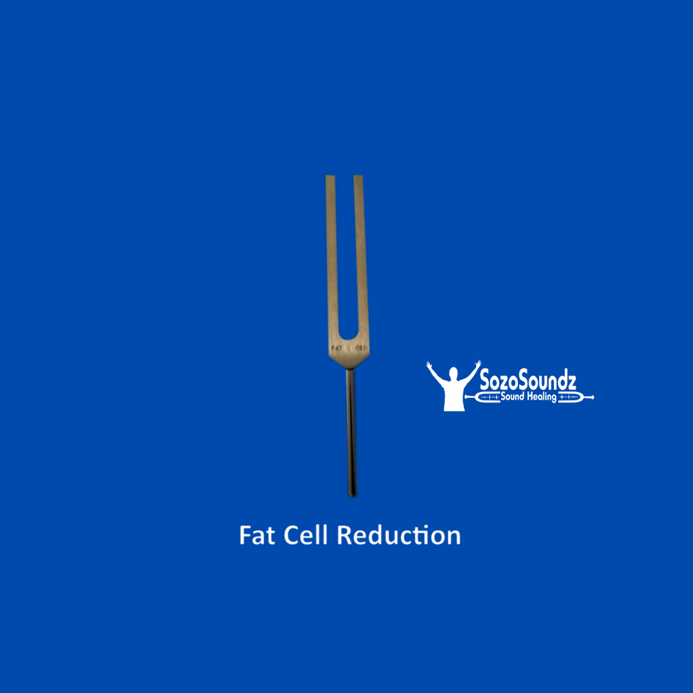 Fat Cell Reduction Tuning Fork - Shop Fat Cell Reduction Tuning Fork!